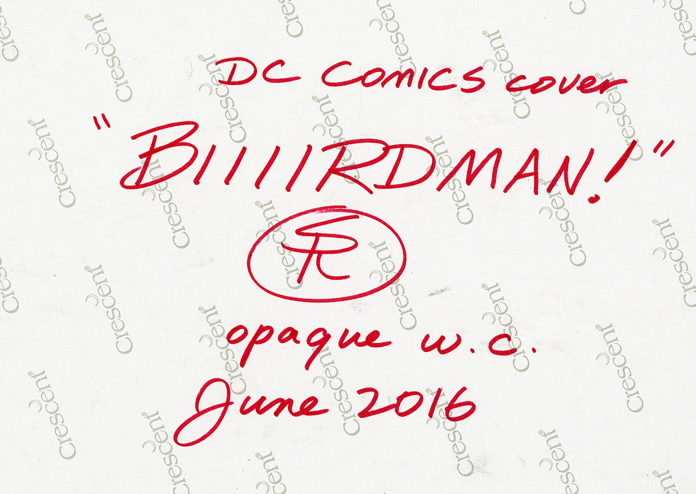 Birdman Final Cover Painting – Steve Rude Art